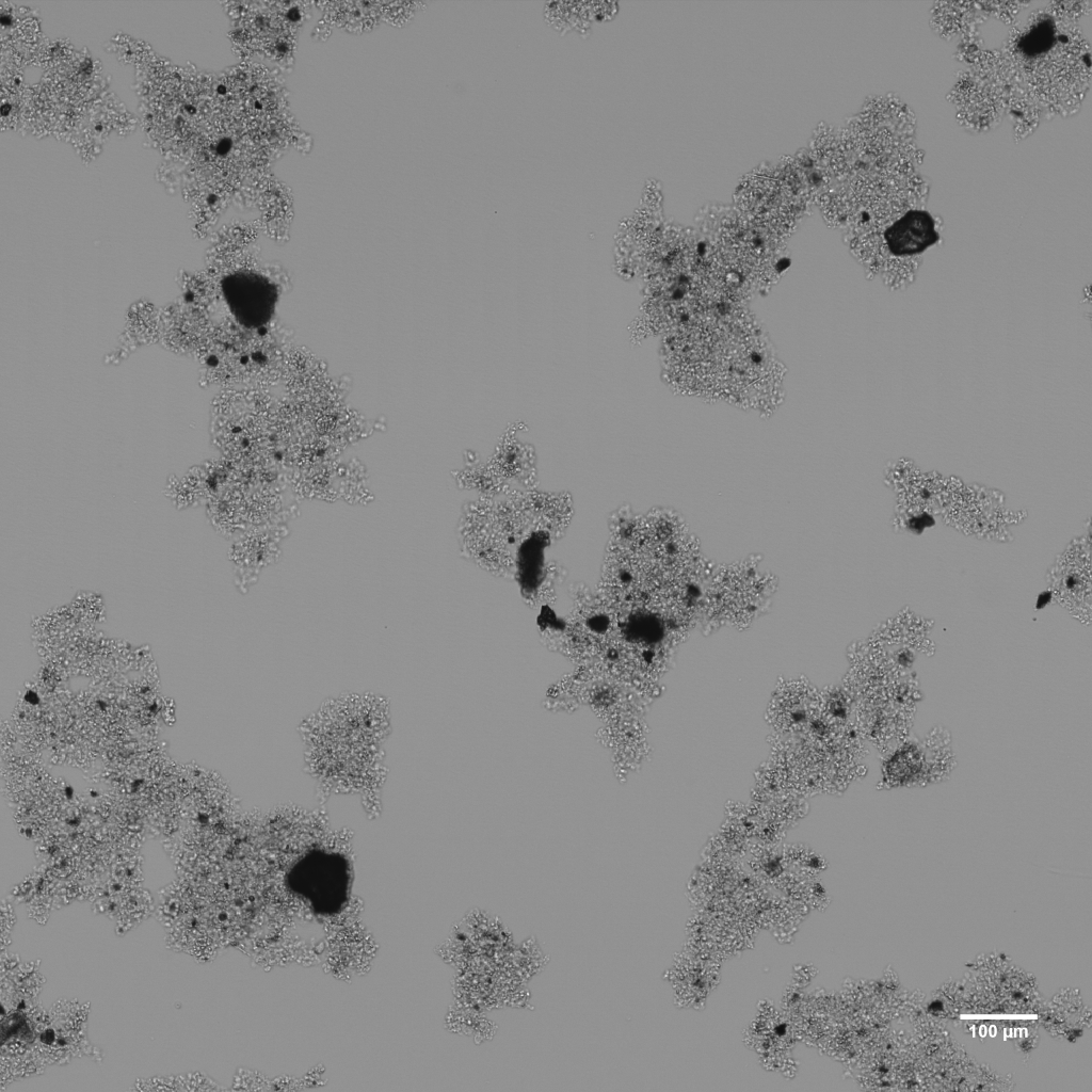 HR-ImageGallery – ParticleTech