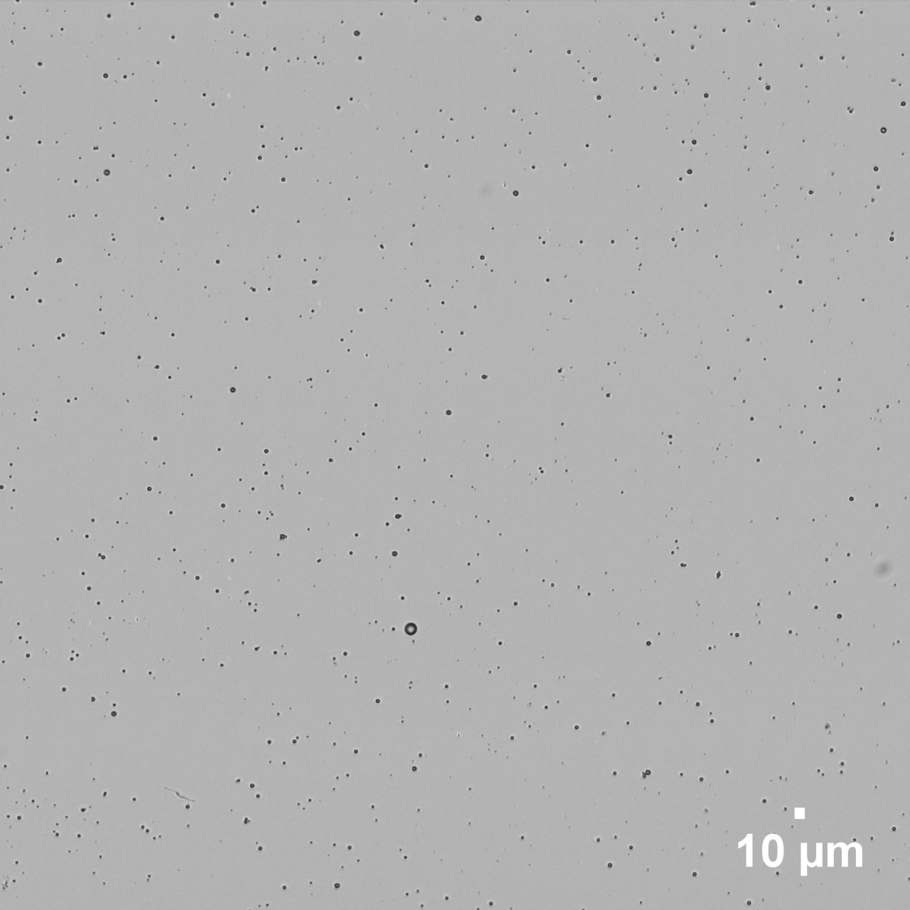 HR-ImageGallery – ParticleTech