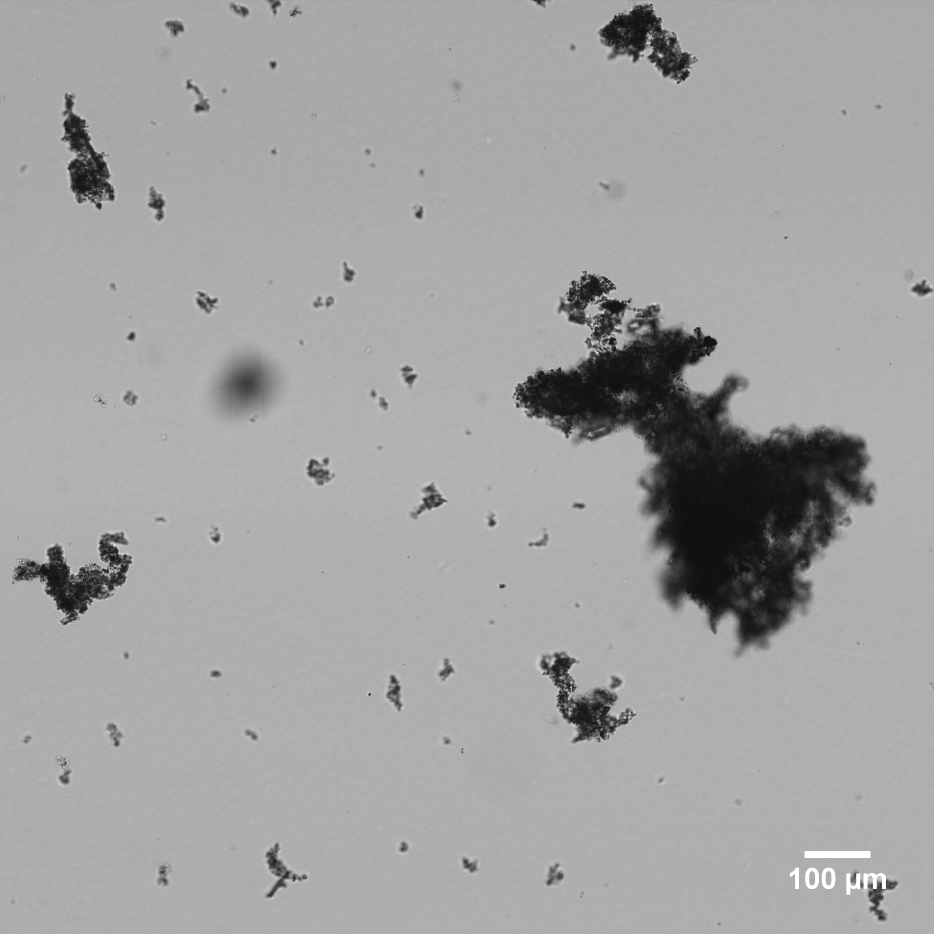 HR-ImageGallery – ParticleTech