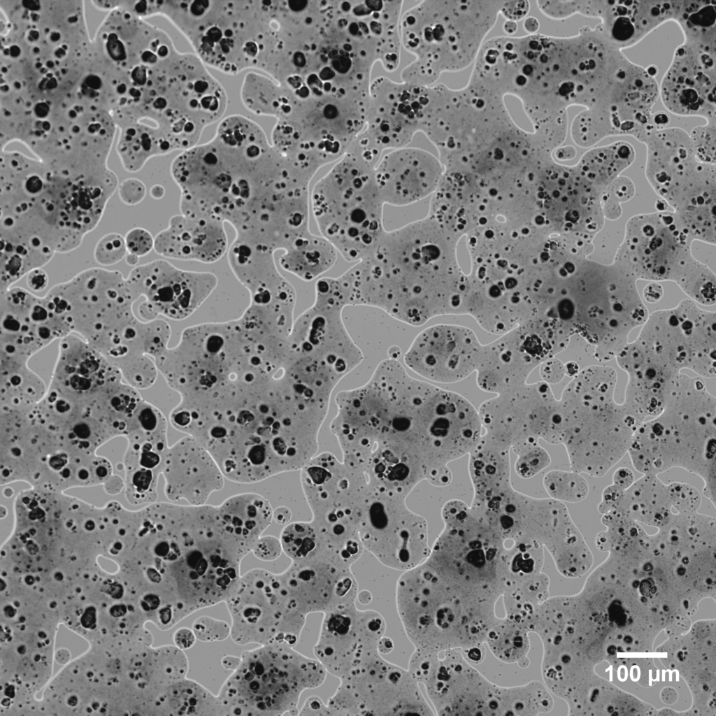 HR-ImageGallery – ParticleTech