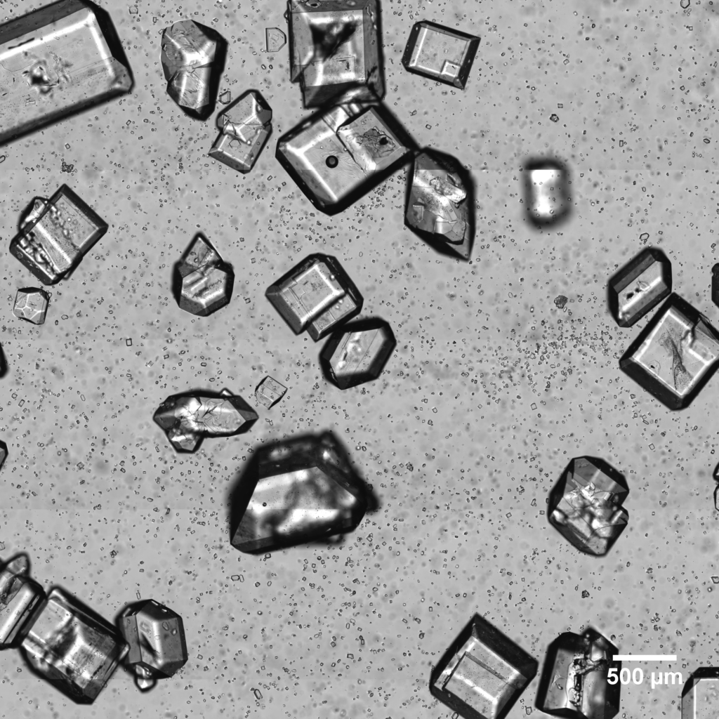 HR-ImageGallery – ParticleTech