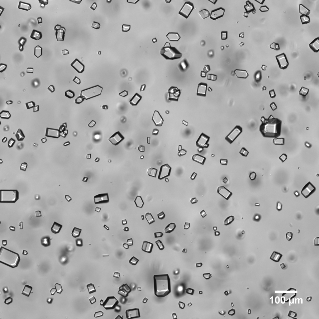 HR-ImageGallery – ParticleTech