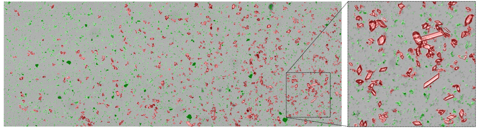 Flocculation – ParticleTech