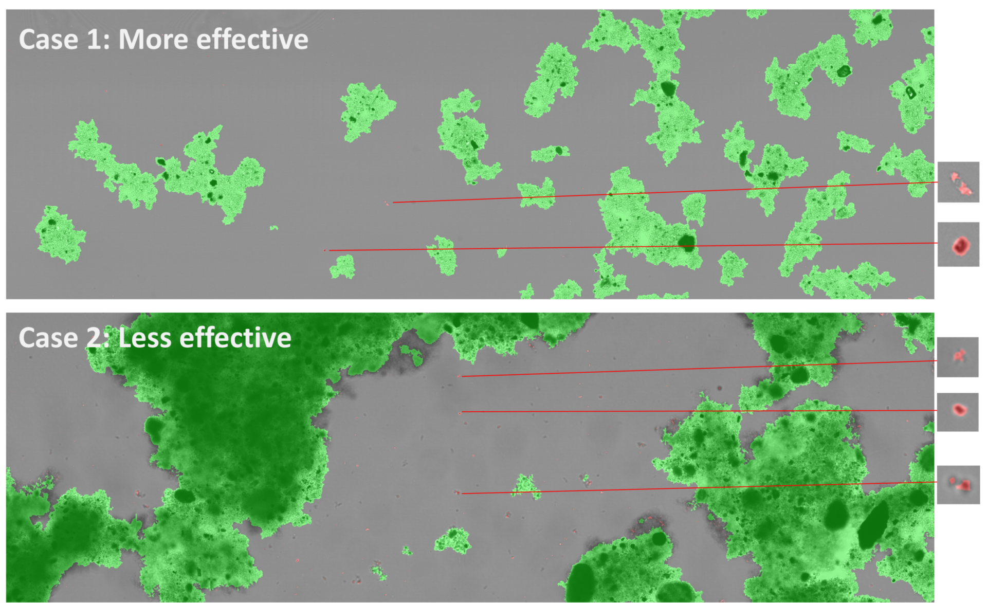 Flocculation – ParticleTech