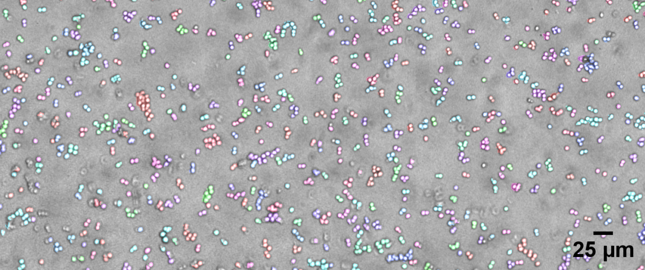 Fermentation – ParticleTech