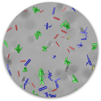 Applications – ParticleTech