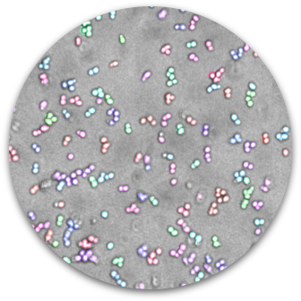 Applications – ParticleTech