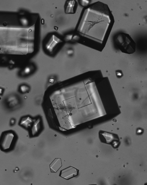 Crystallization – ParticleTech