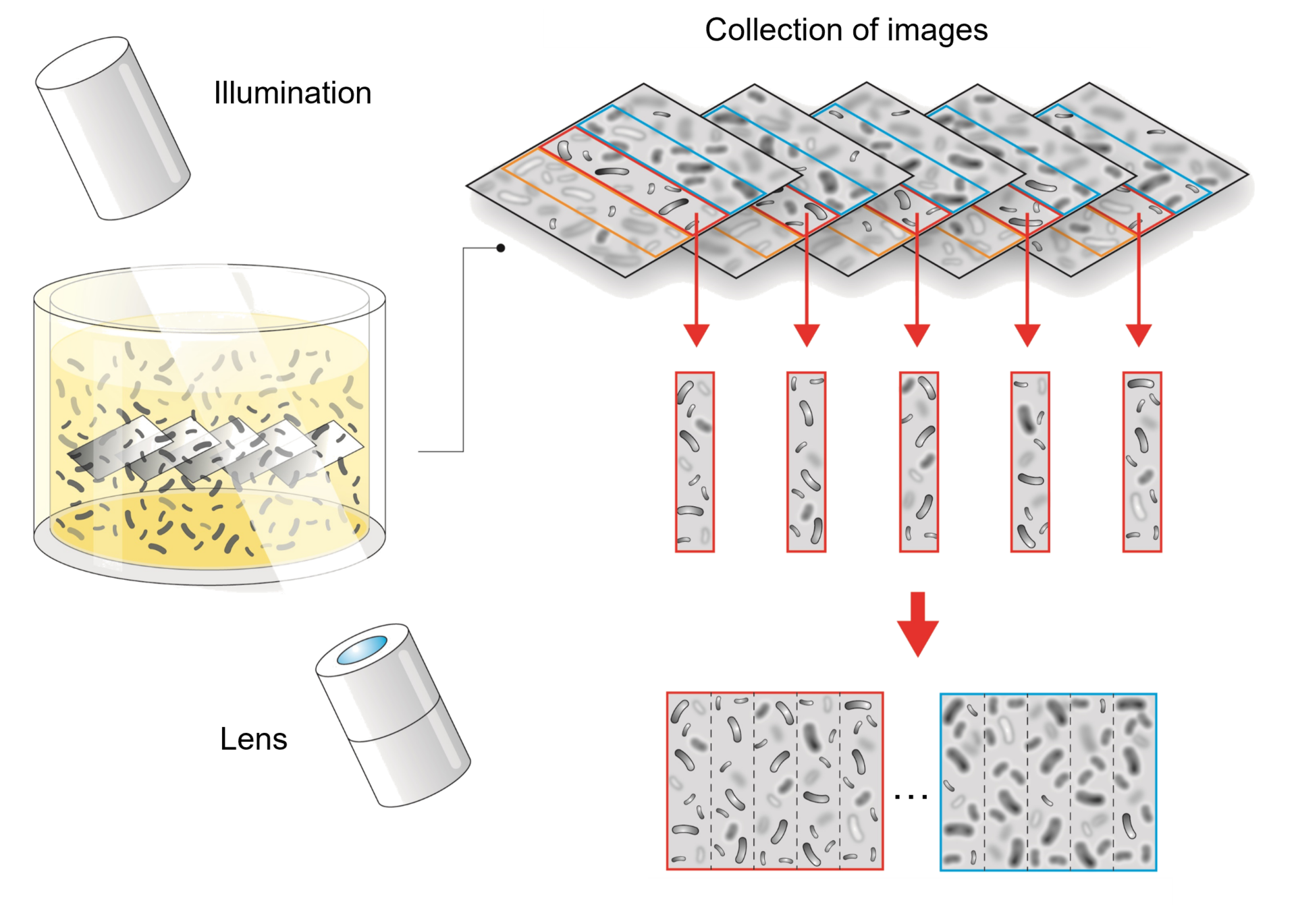 Hr-Technology – ParticleTech