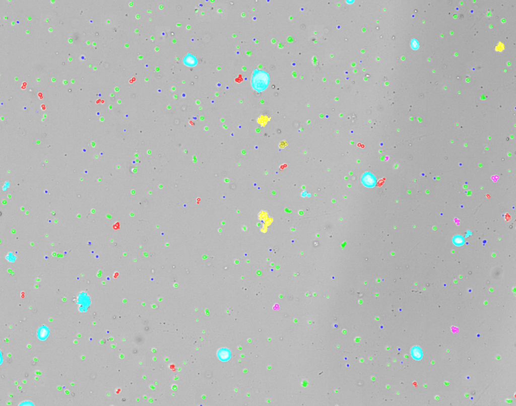 Algorithms – ParticleTech