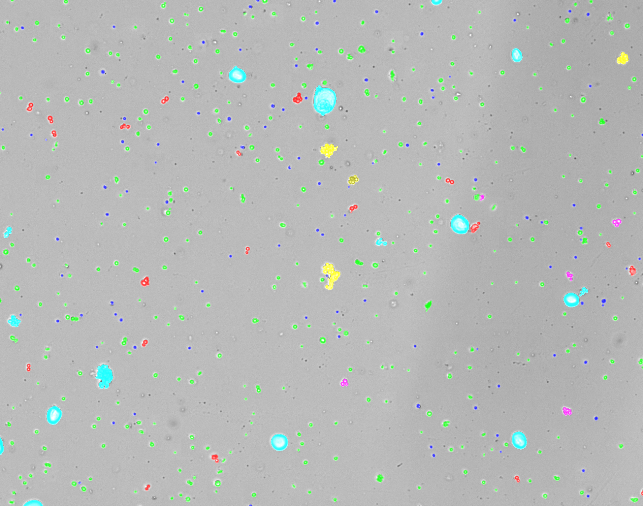 Algorithms Particletech